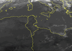 Météo Djerba - Tunisie